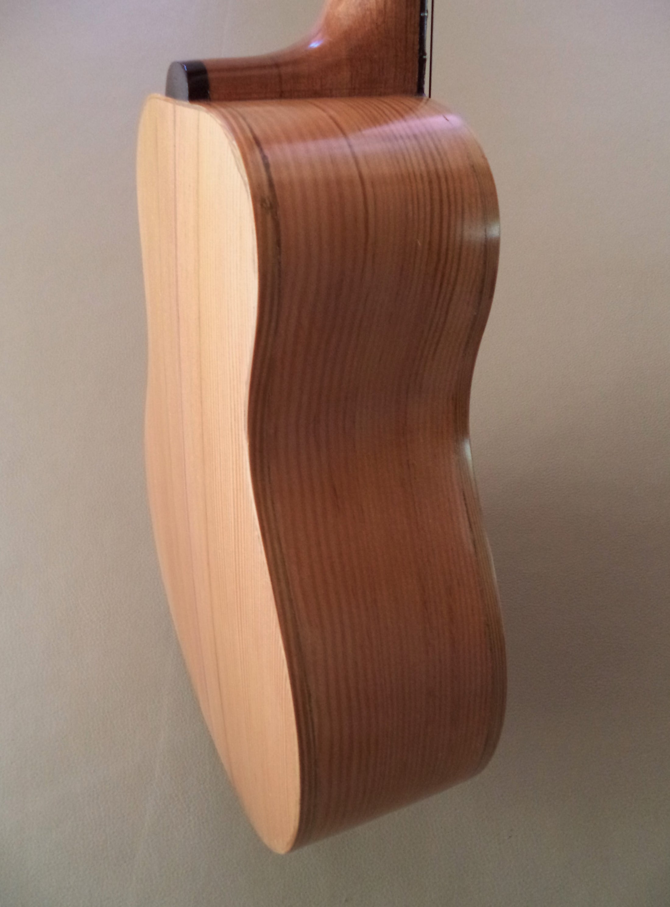 Cuatro Infantil Tipo A, Requinto de Cuatro y Ukulele Tenor "Tres en Un ...